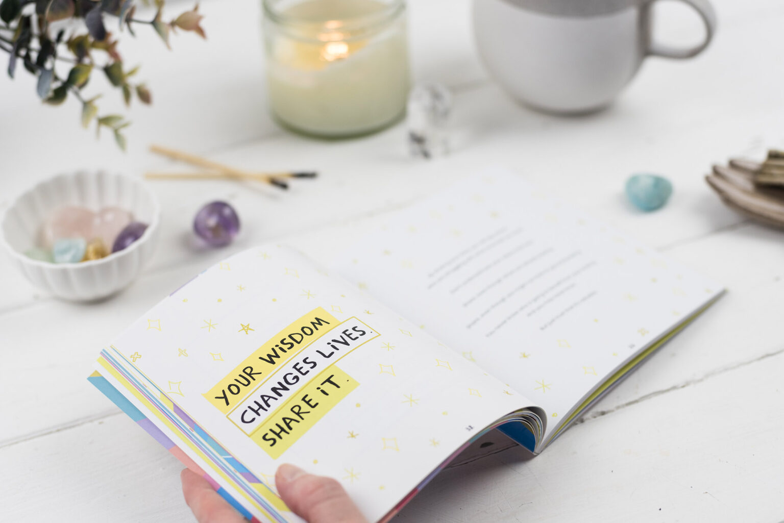 Boost Book - The Happi Empire